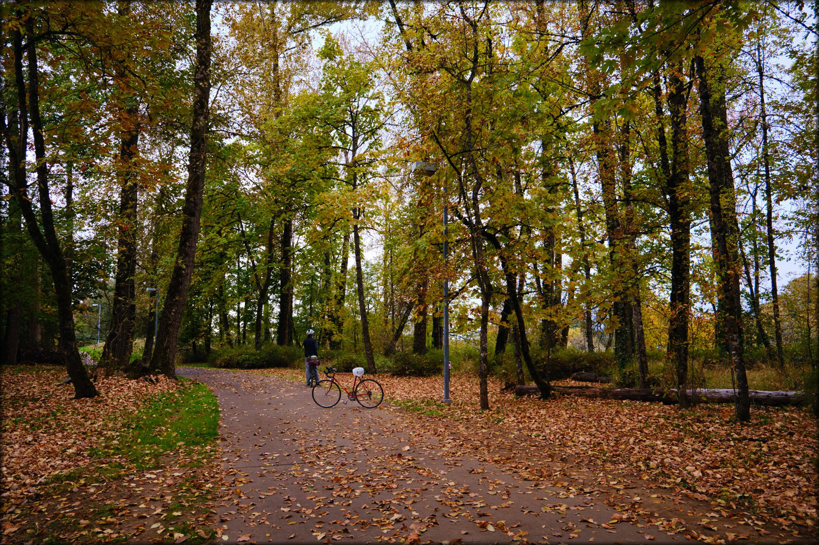 Eugene Trails – MERRIAMERICA